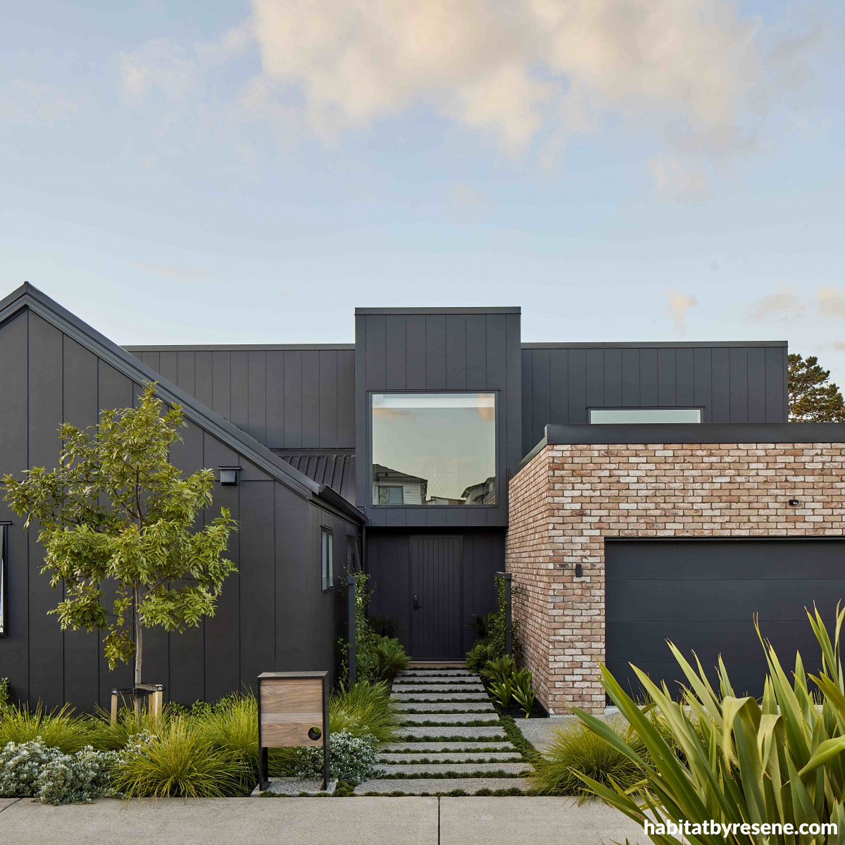 Colour is the key ‘element’ in this new build’s exterior | Habitat by ...