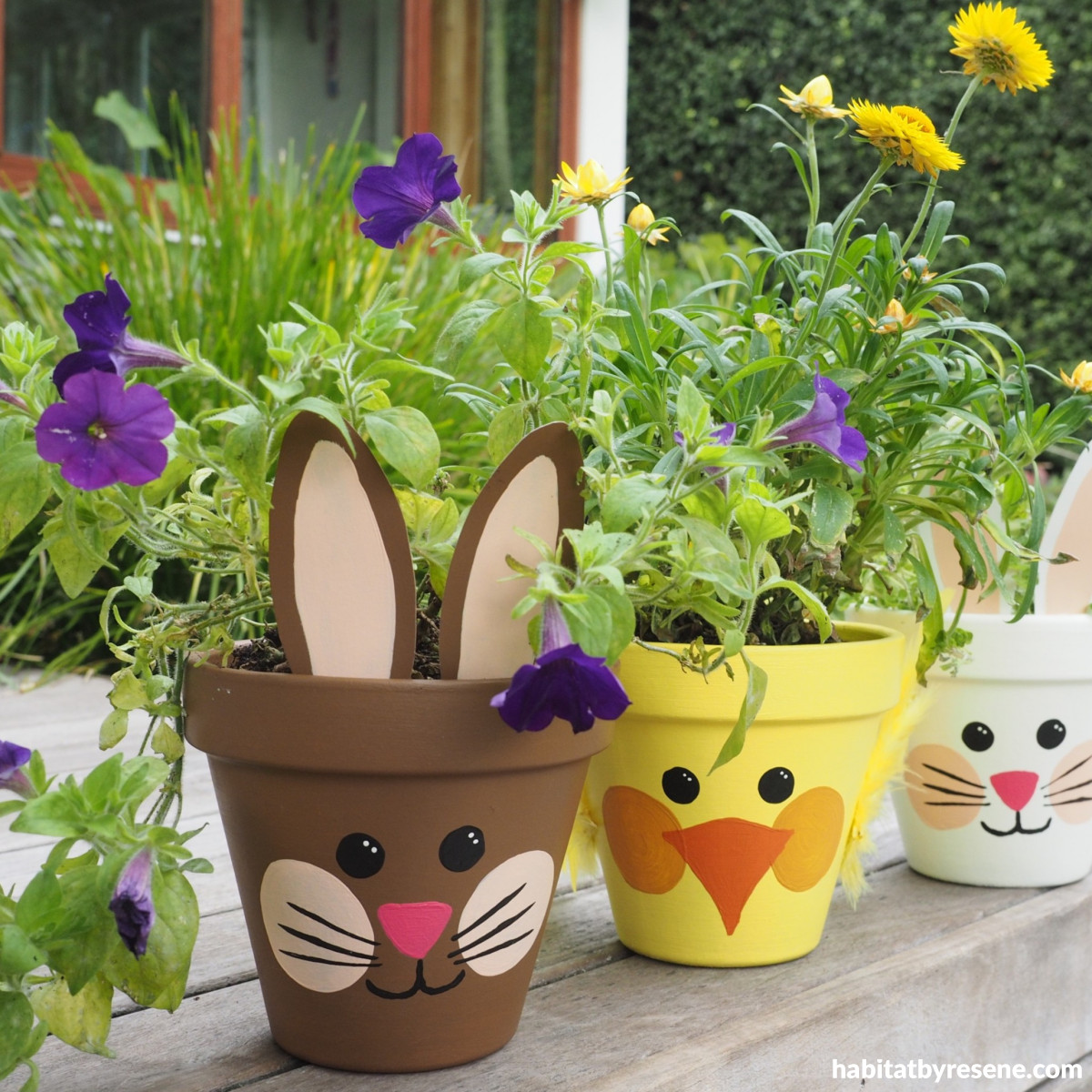 Need some Easter ideas? ‘Per-hops’ these DIY Plant Pots will do the ...