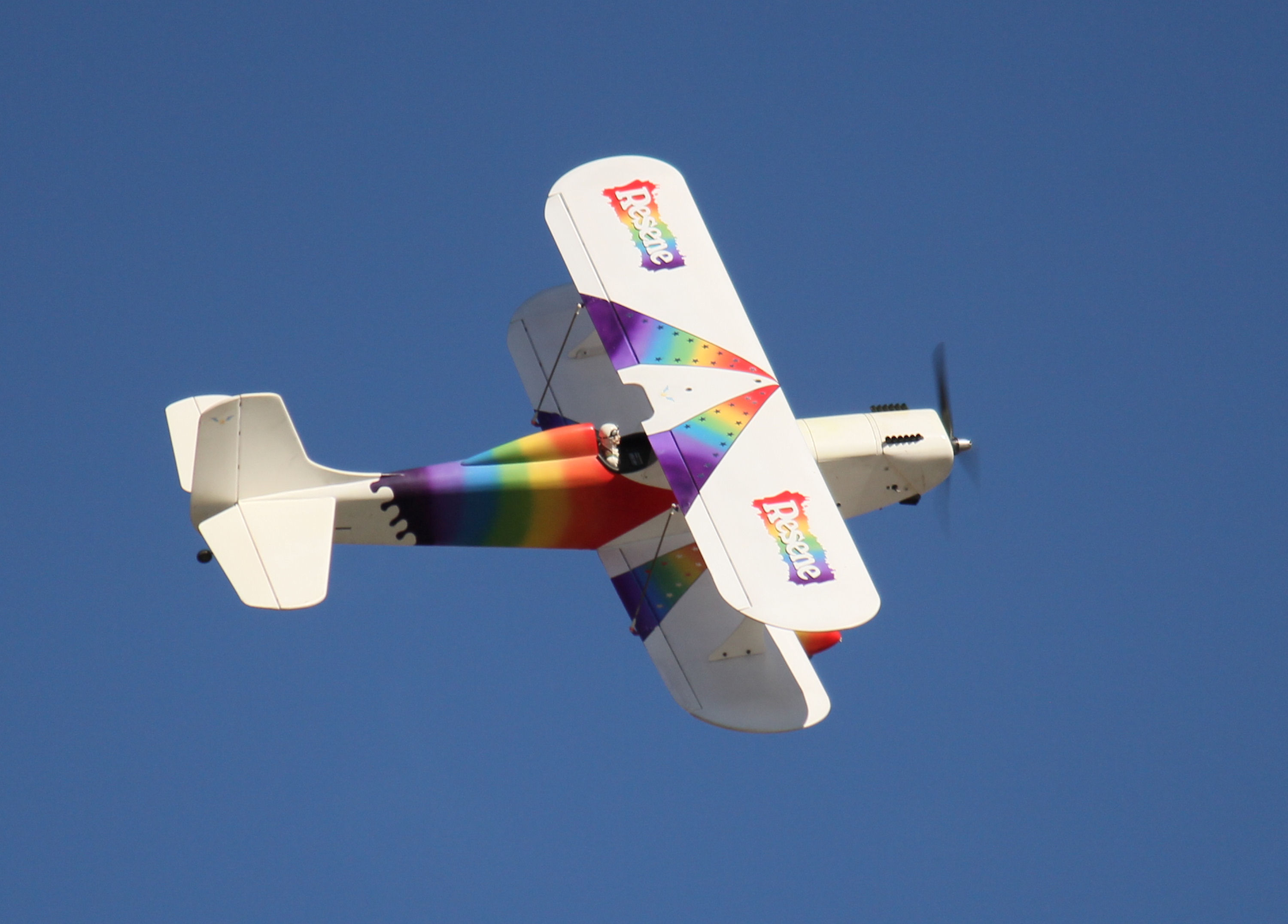 With flying colours | Habitat by Resene