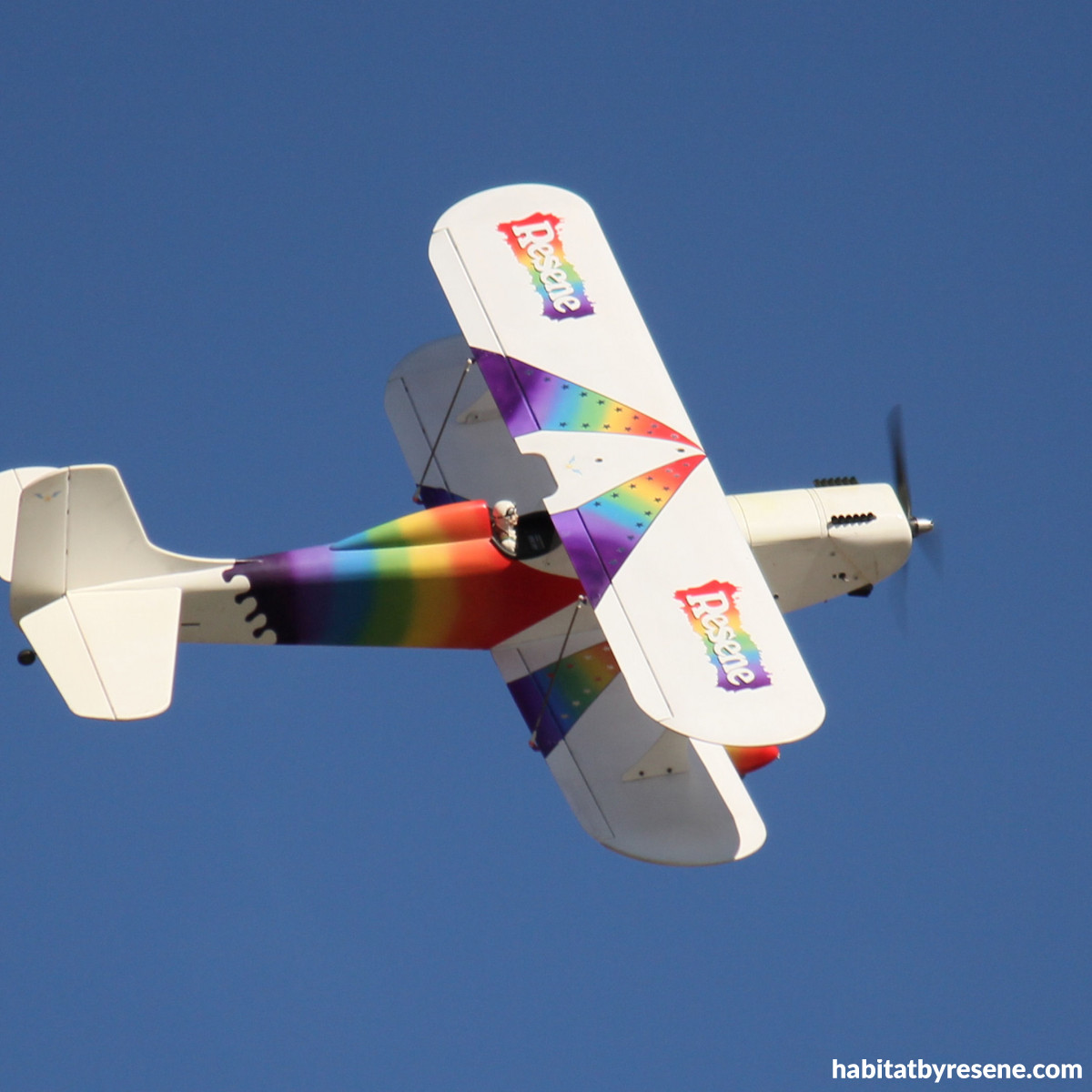 with-flying-colours-habitat-by-resene