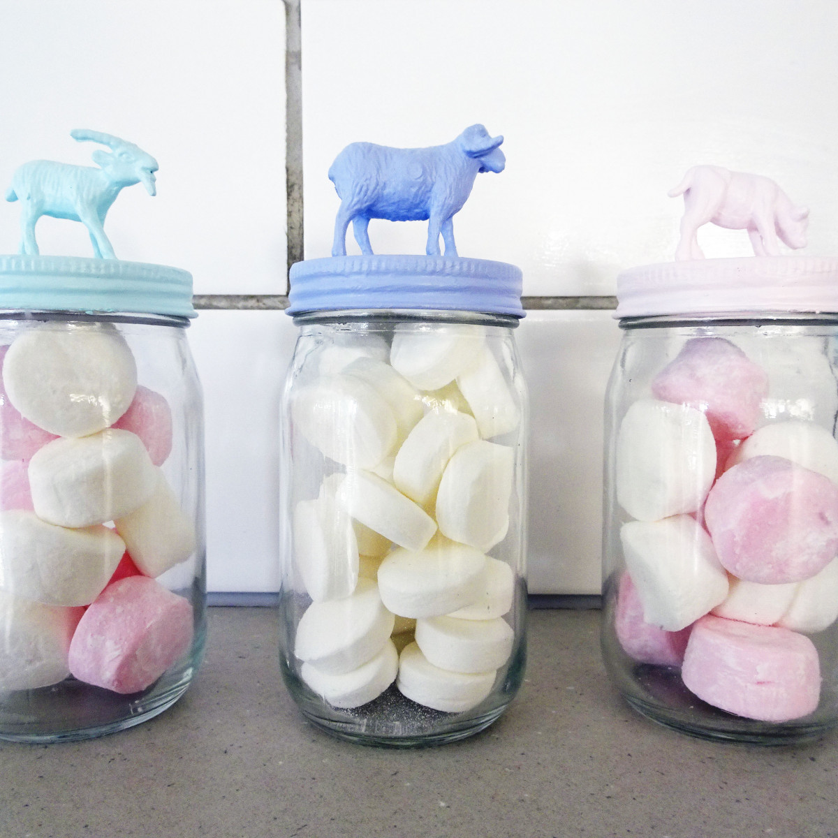 Create your own animal lolly jars | Habitat by Resene